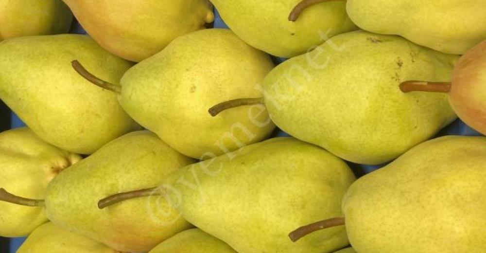 Armudun Faydaları | Resimli ve Videolu Tarifler