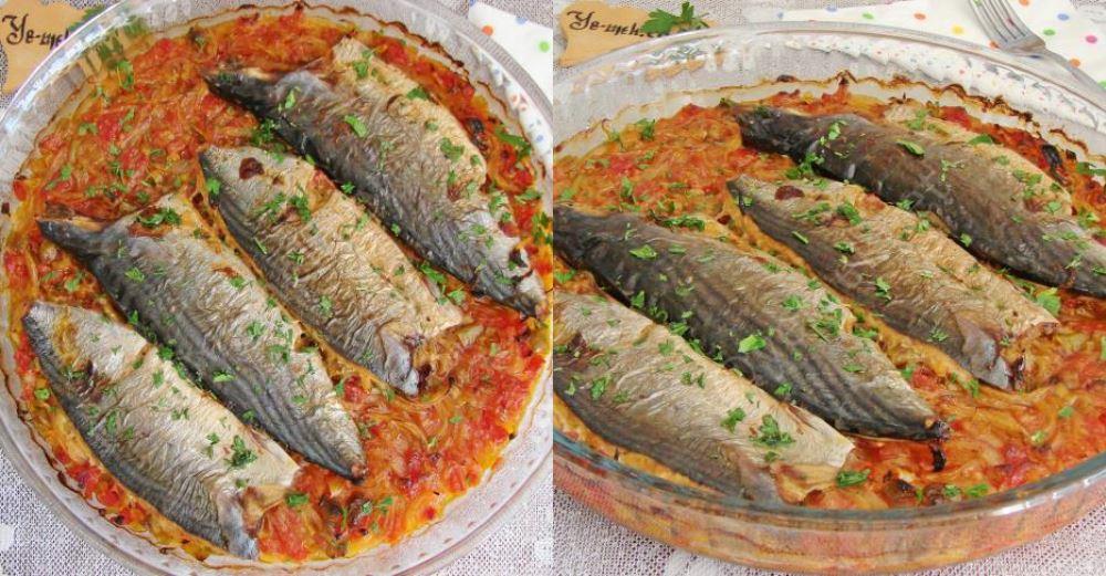 Palamut Fileto